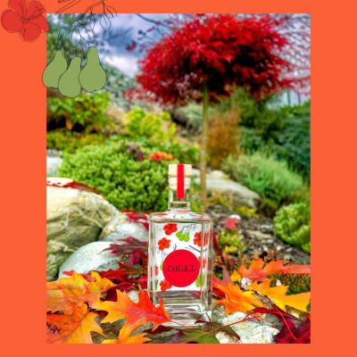 Hand-crafted Seasonal gin & vodka in Queenstown, New Zealand